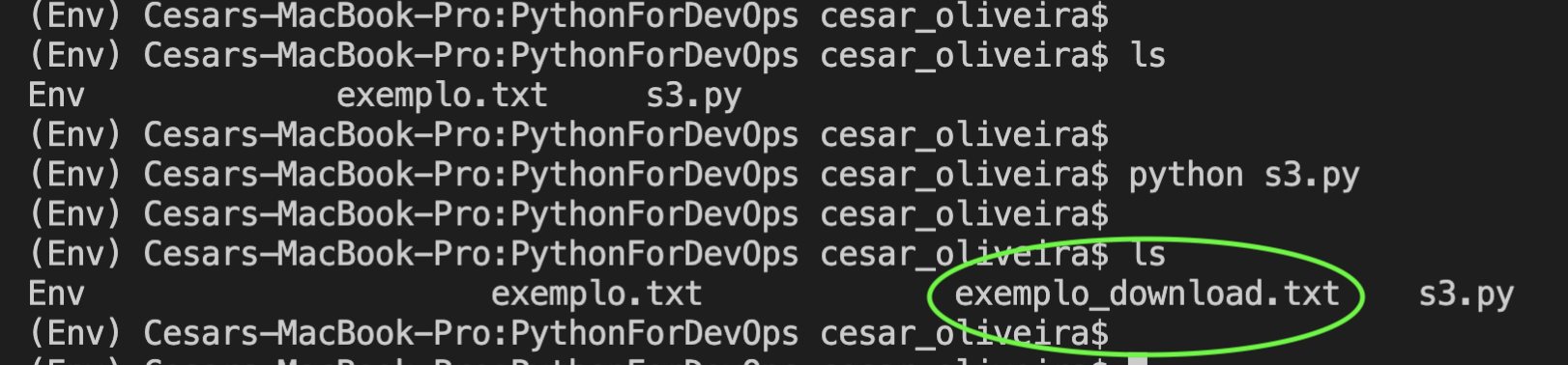 Manipulando buckets e objetos do Amazon S3 com Python - Coffops